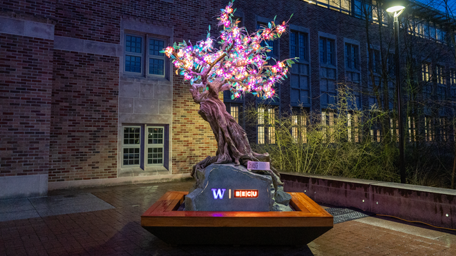 UW Debit and Credit Cards | BECU